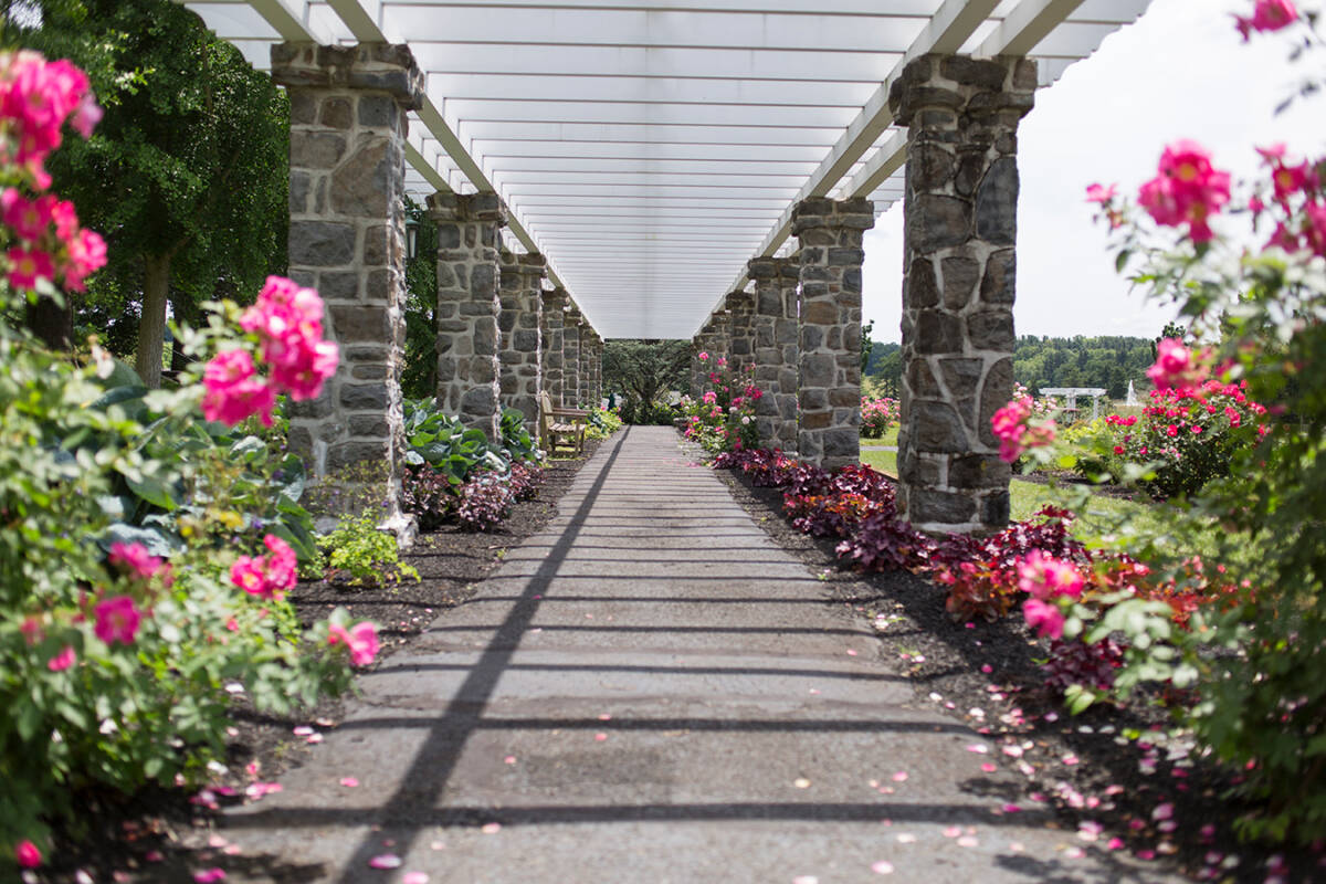 Outdoor Recreation - Masonic Village Elizabethtown